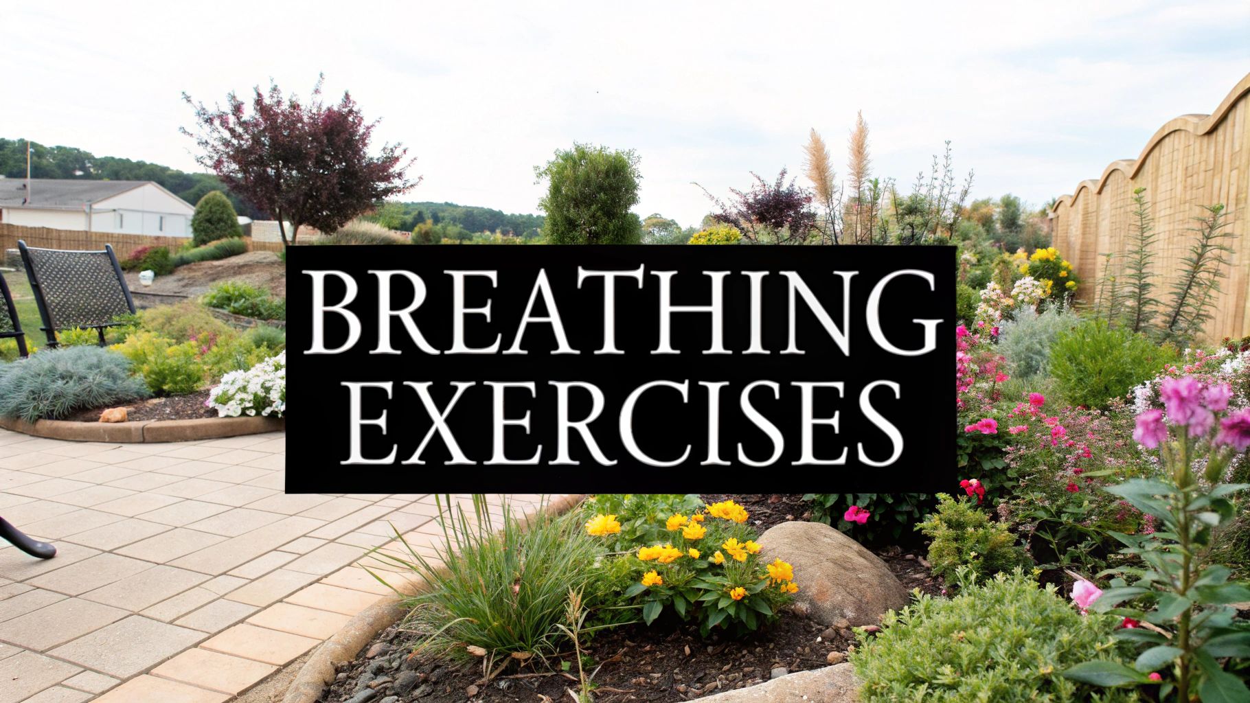 Natural Sleep Apnea Remedies: The Complete Guide to Evidence-Based ...