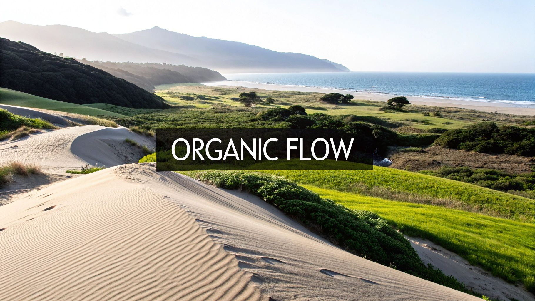 Explore Processing Programming Examples for Creative Coding - VibeCoding Blog